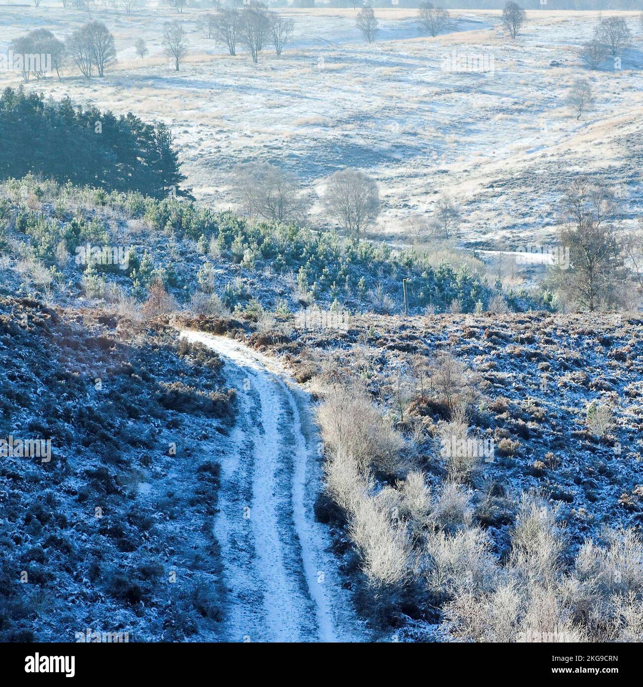 Frosty late autumn hill paths above Sherbrook Valley Cannock Chase ...