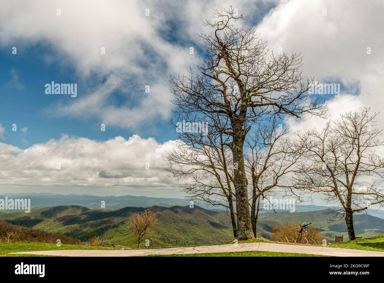 The high trees with hills in the Blue ridge parkway under the cloudy ...