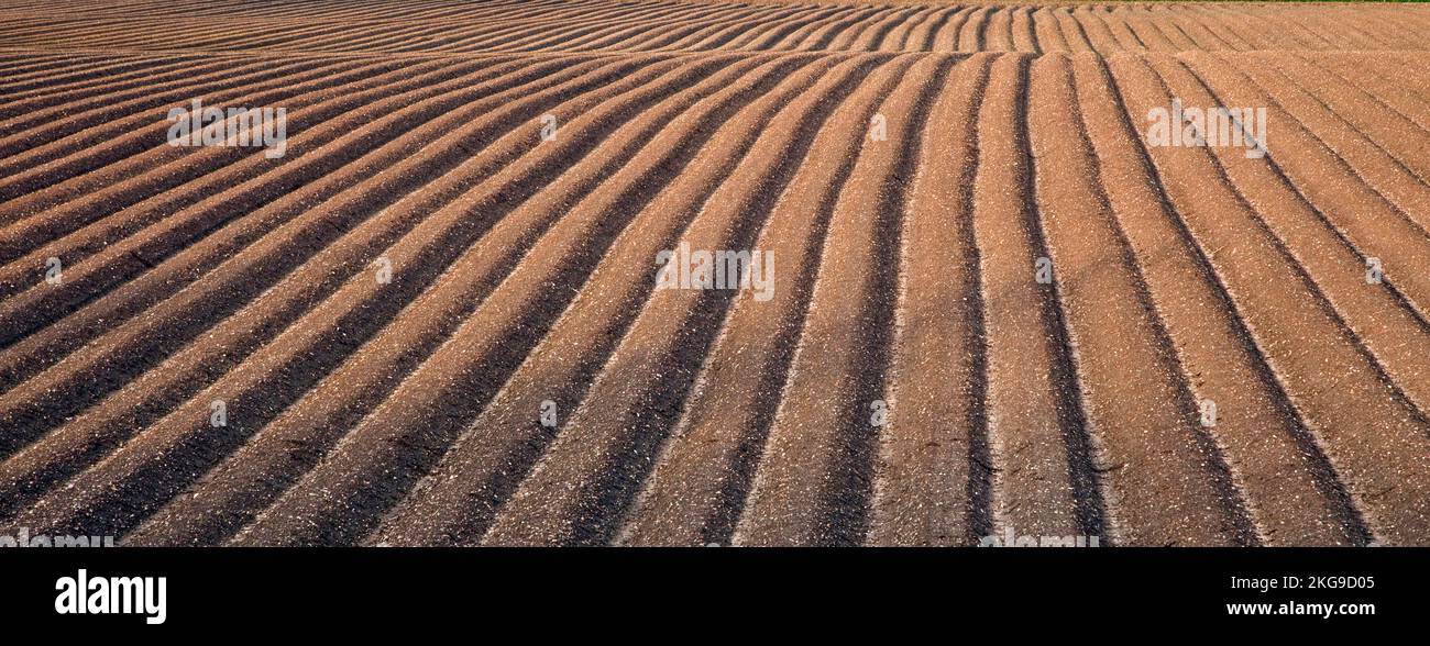 Ploughed Field Tixall Cannock Chase Area of Oustanding Natural Beauty ...