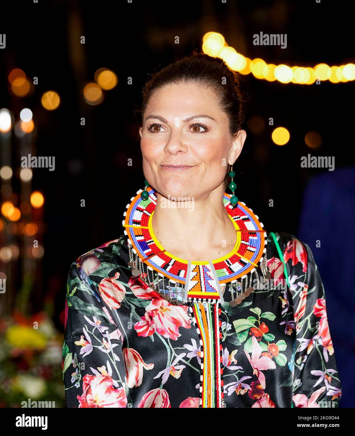 Crown Princess Victoria attends the UNDP reception at Trine Hotel by ...