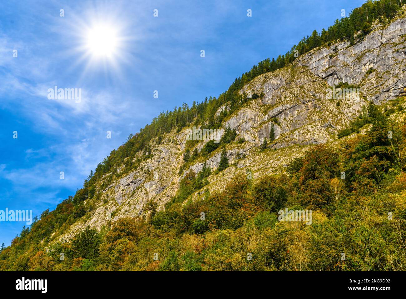 Alps mountains covered with forest in Berchtesgaden National Park ...