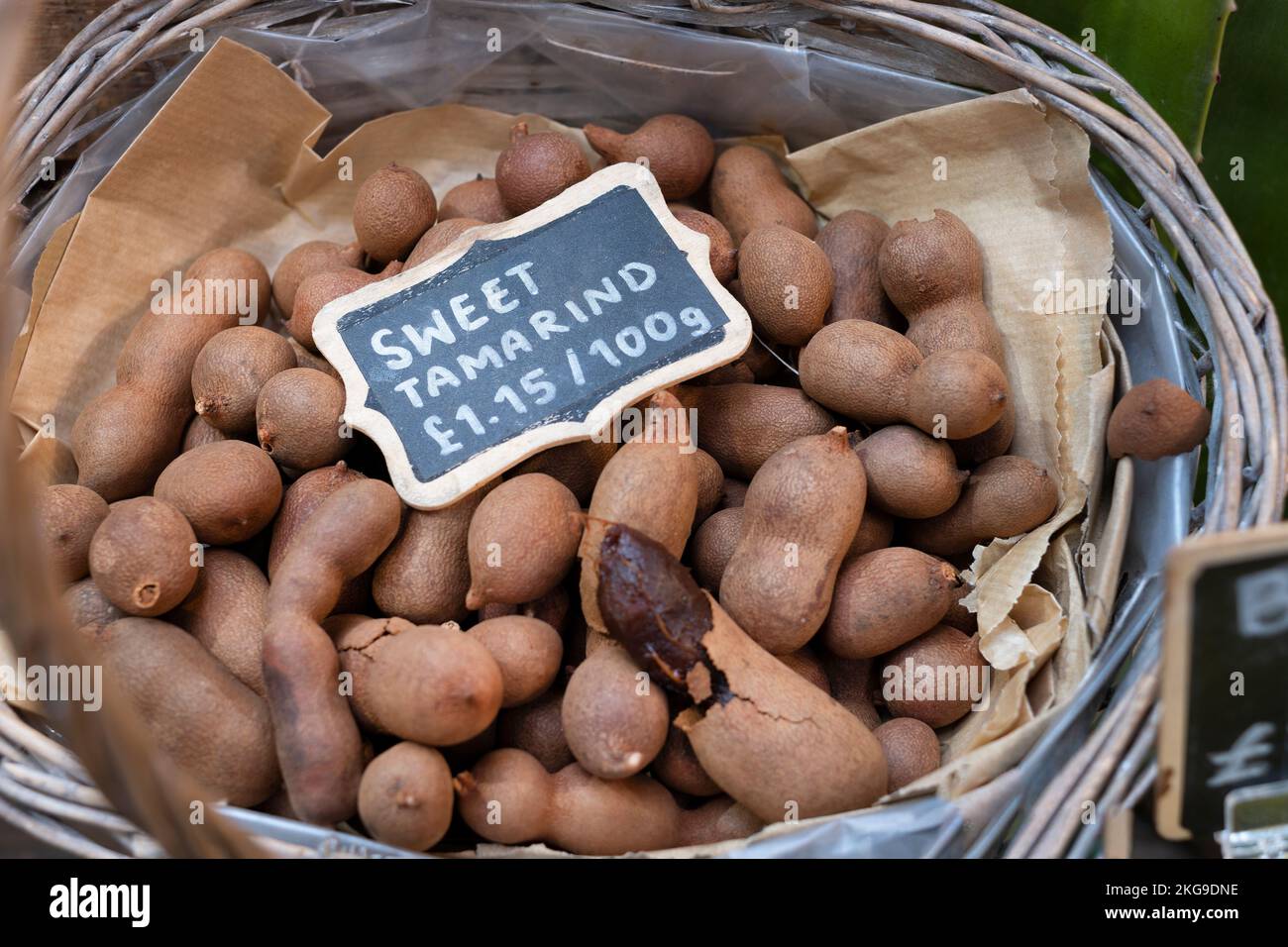 A market basket filled with raw sweet tamarind pods.The tropical fruit ...