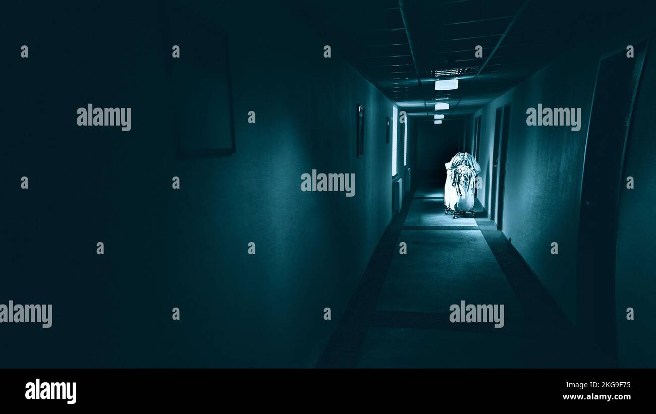 Terrible corridor in hotel, horror dark hallway Stock Photo - Alamy