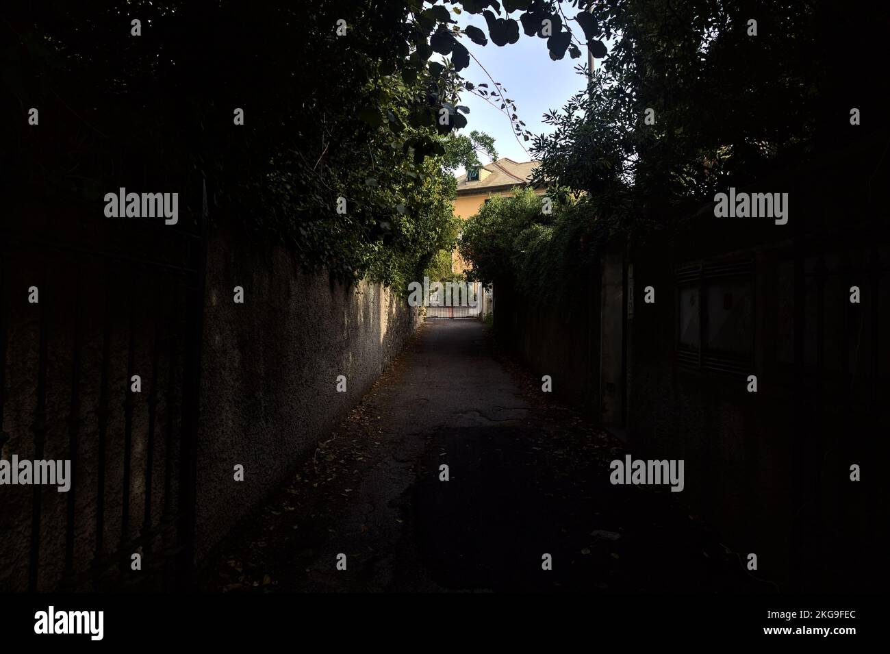 Dead end alley bordered by walls and plants with a gate at the end ...