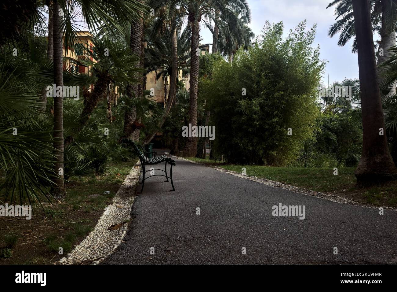 Bench in a shady path of a park Stock Photo - Alamy