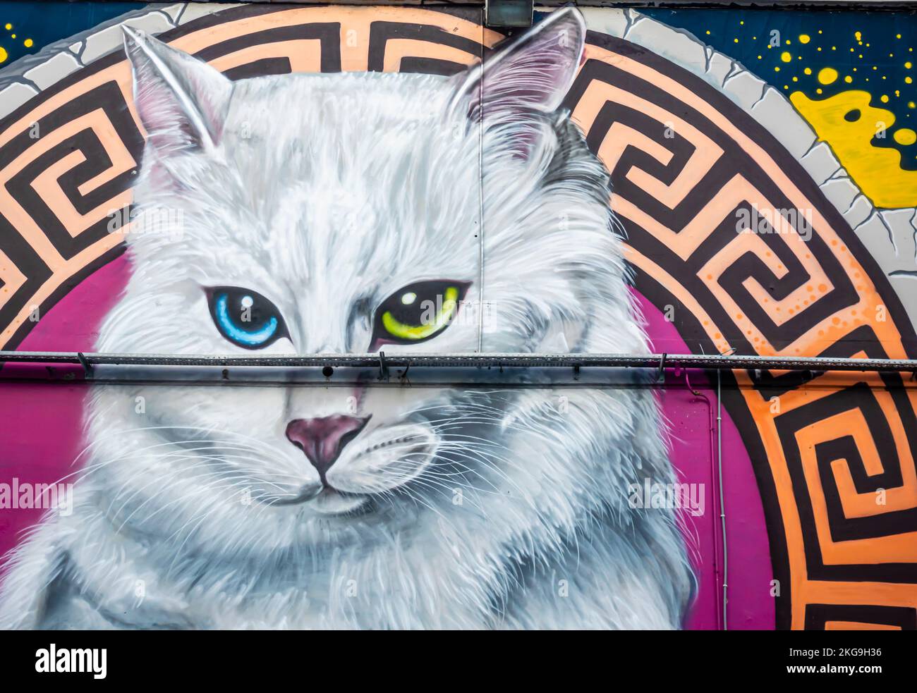 Cat murals hi-res stock photography and images - Alamy
