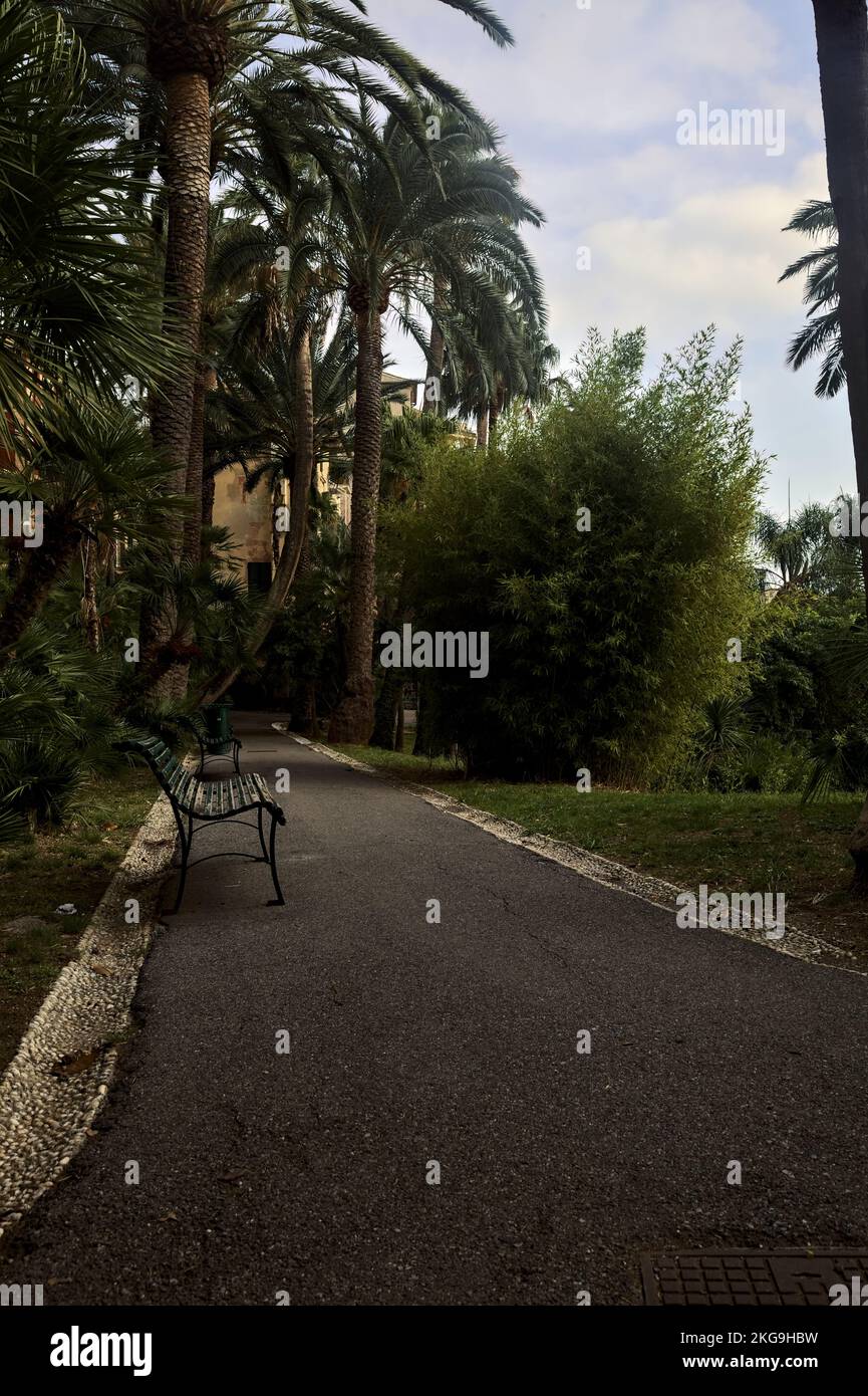 Tranquil bench shady path hi-res stock photography and images - Alamy