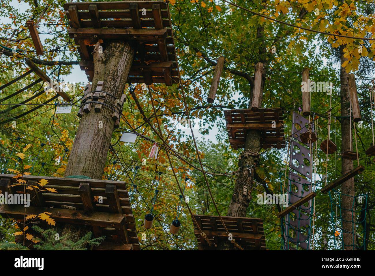 High ropes experience adventure tree park. Rope road course in trees ...