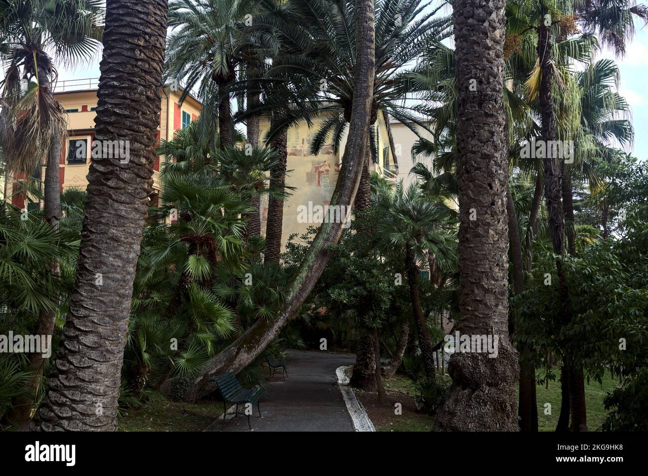 Bench in a shady path of a park Stock Photo - Alamy