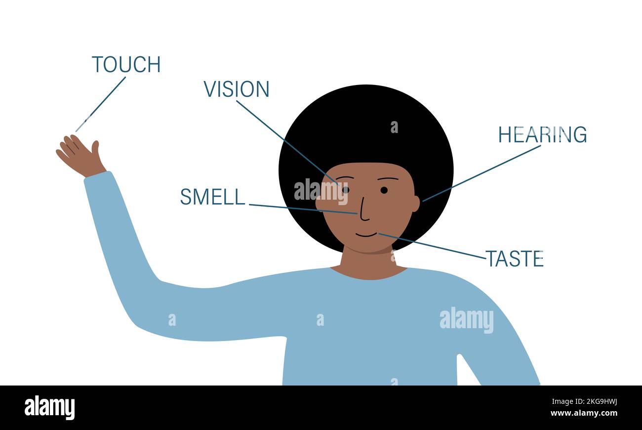 Five organs Stock Vector Images - Alamy