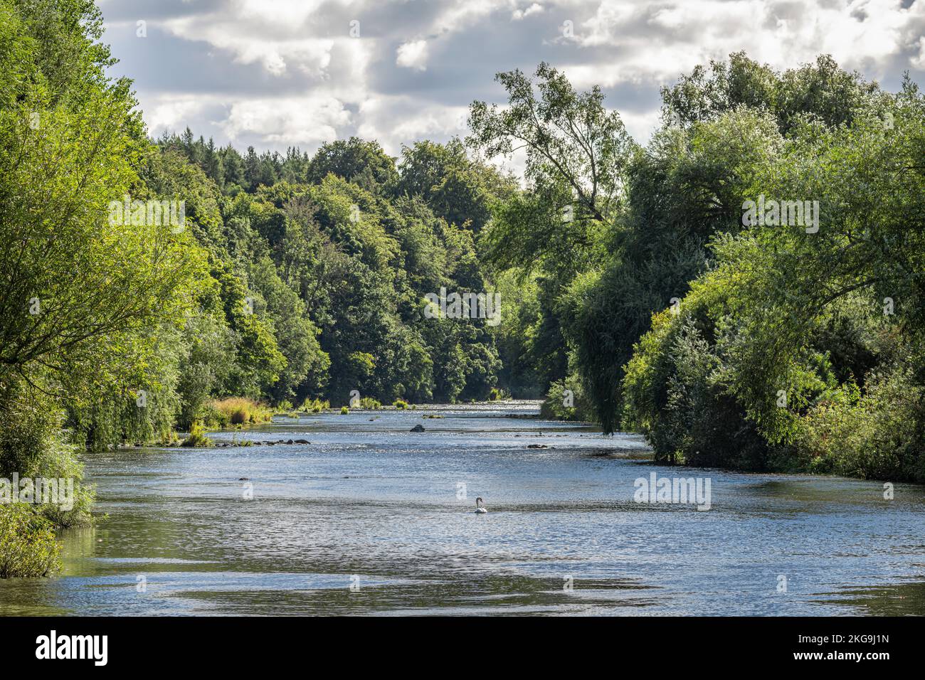 The River Teviot near Roxburgh Stock Photo - Alamy