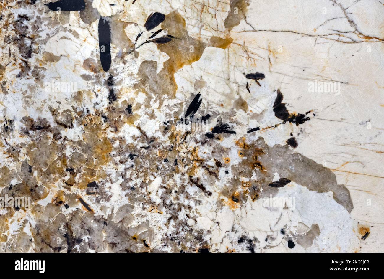 White marble with veins and gray-brown inclusions Stock Photo - Alamy