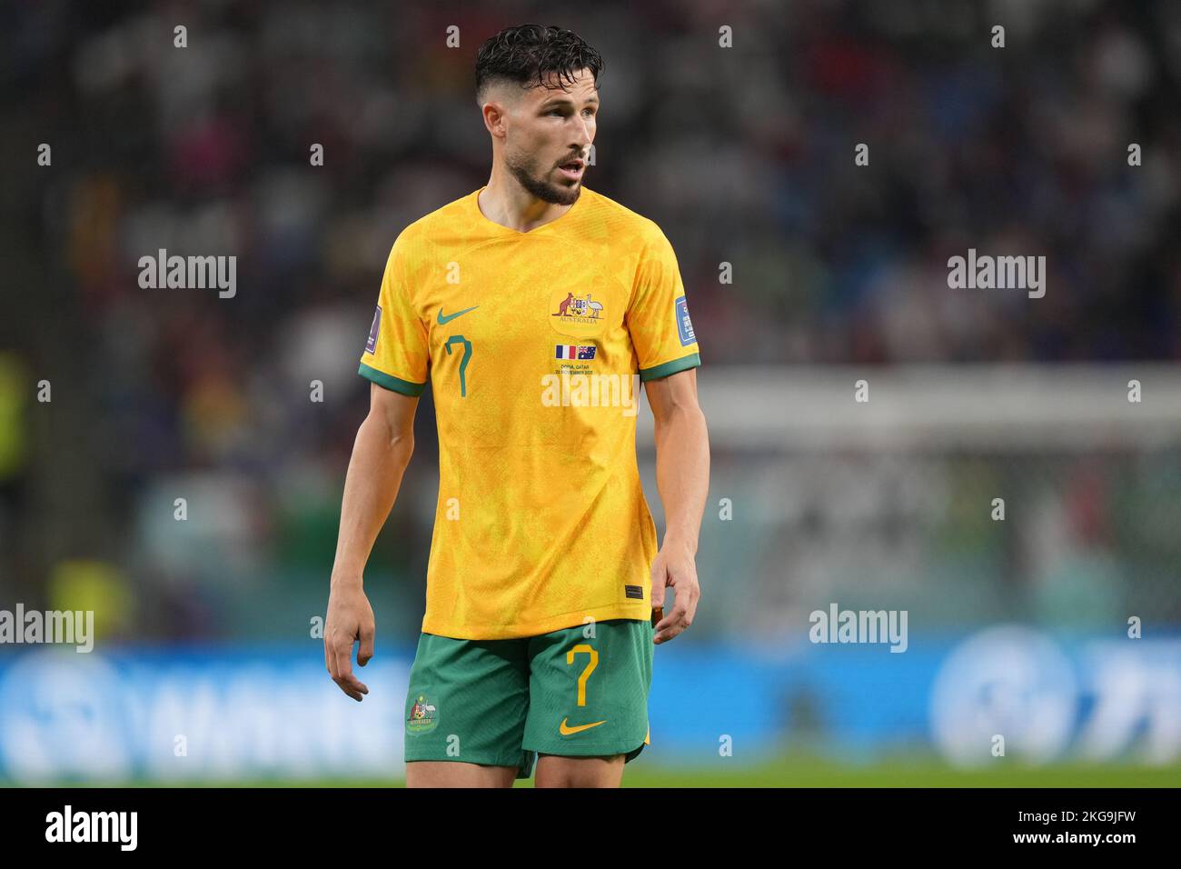 Mathew Leckie of Australia during the Qatar 2022 World Cup match, Group ...