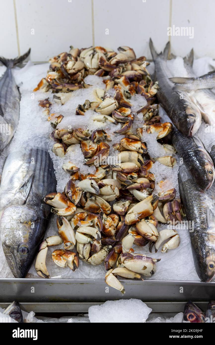 Selection of fish and seafood at the Central Market (Mercado Central ...