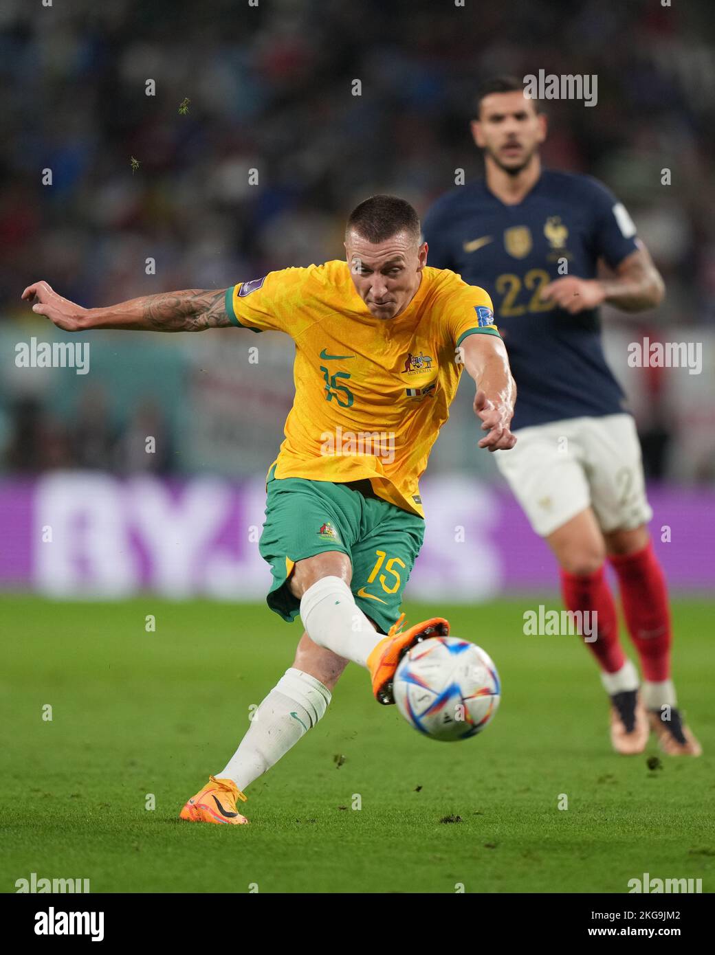Mitchell Duke of Australia during the Qatar 2022 World Cup match, Group ...