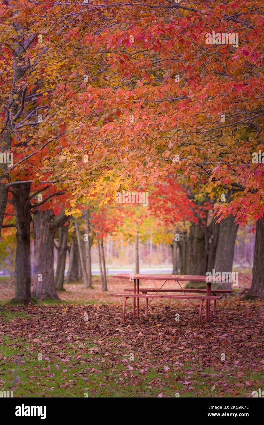 Lemoine park hi-res stock photography and images - Alamy