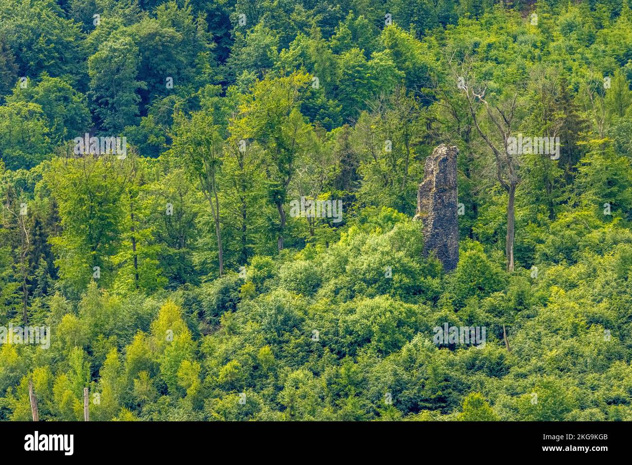 Berghausen castle germany hi-res stock photography and images - Alamy