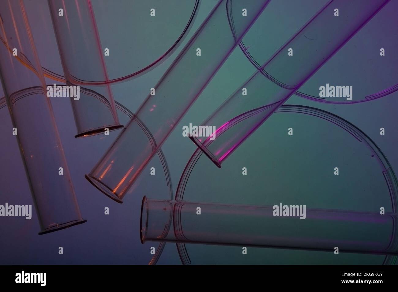 Top view of petri dishes and test tubes in neon light. Laboratory ...