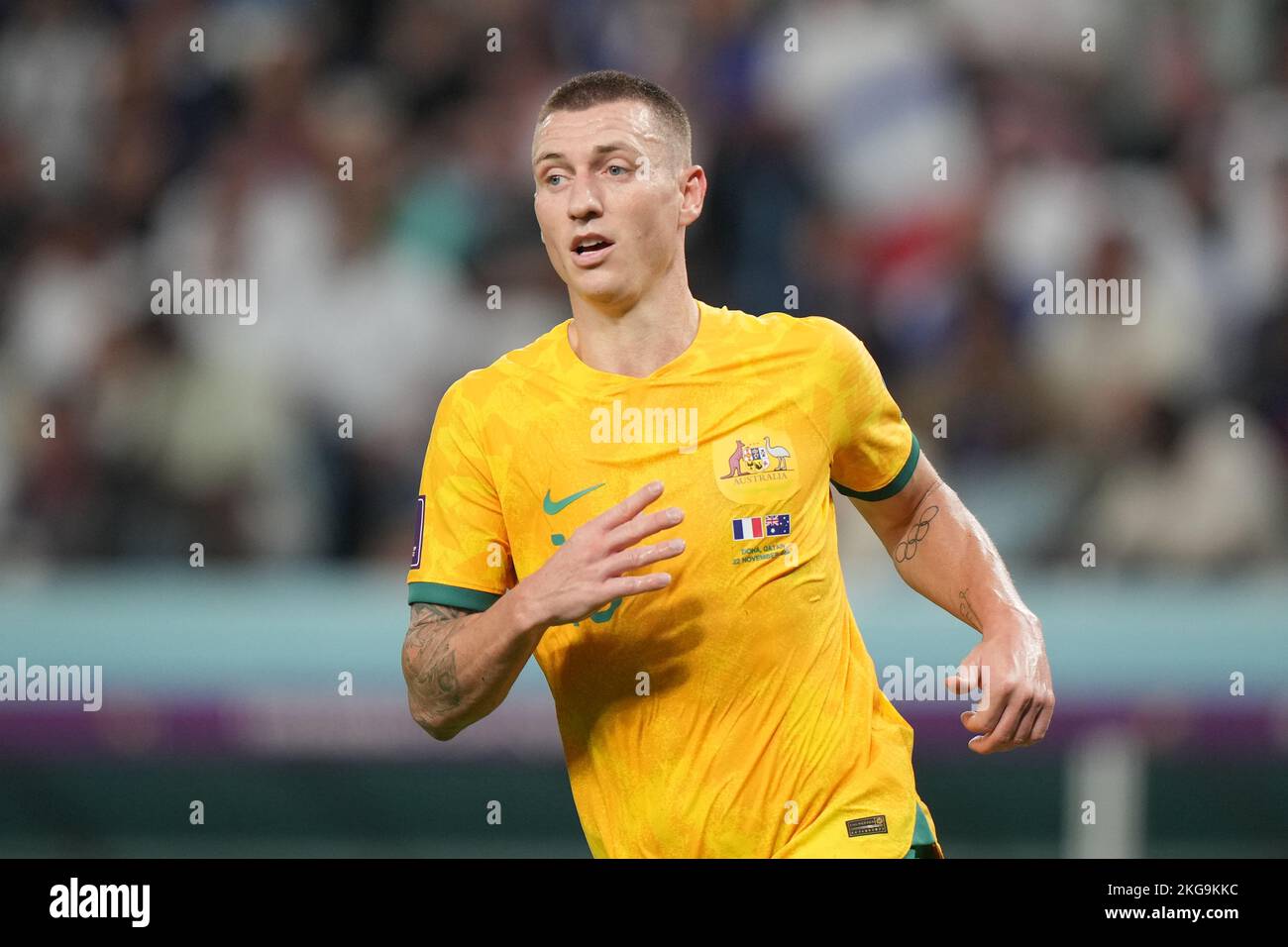 Mitchell Duke of Australia during the Qatar 2022 World Cup match, Group ...