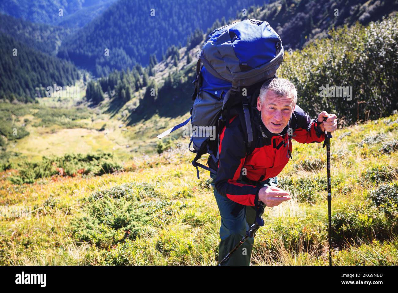 Adult tourist climbs the mountain, Carpathia, Ukraine Stock Photo - Alamy