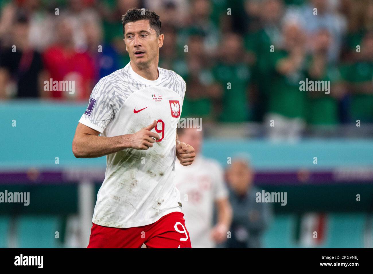 Robert Lewandowski of Poland during the FIFA World Cup Qatar 2022 Group ...