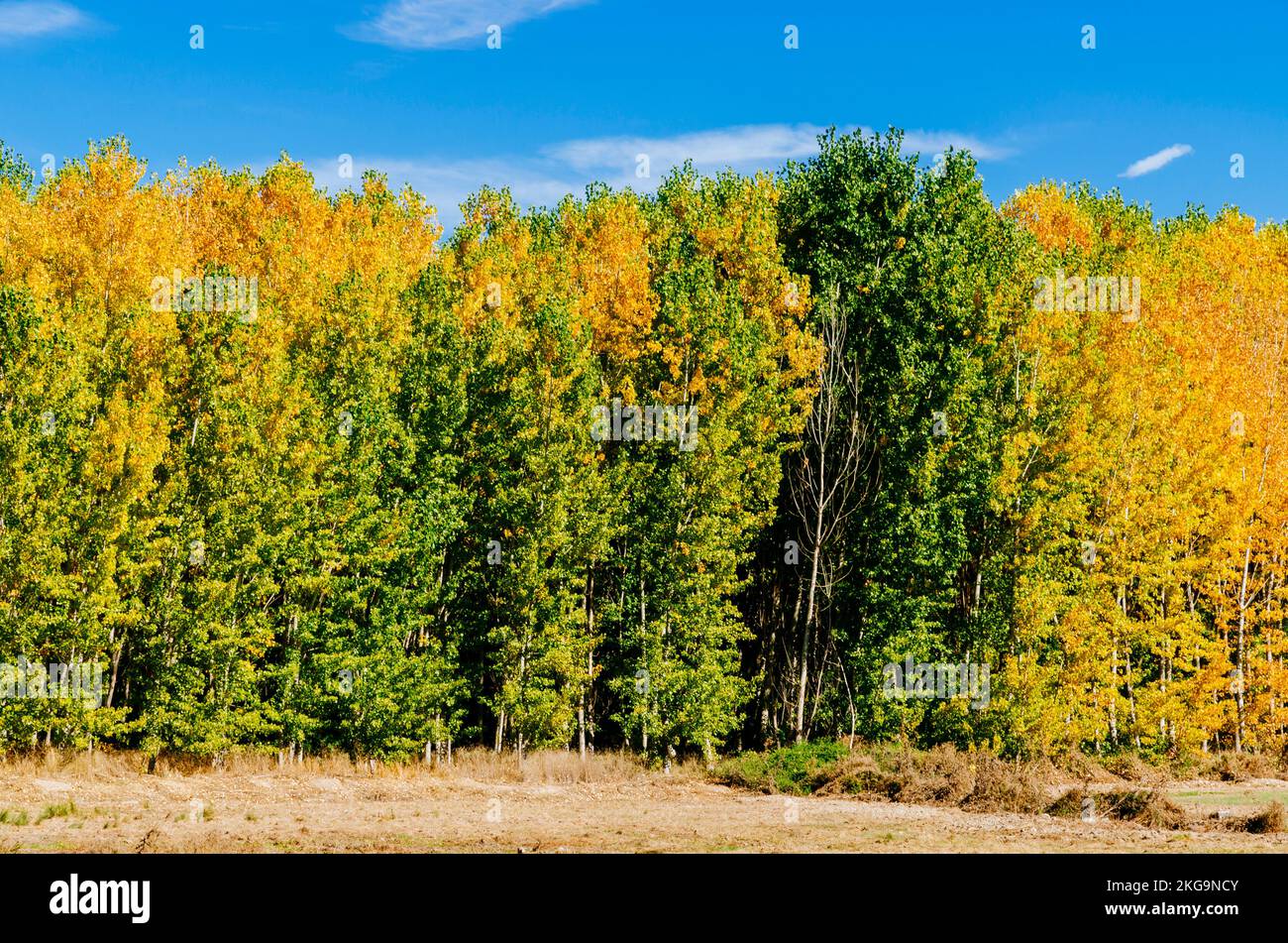 Agroforestry europe hi-res stock photography and images - Alamy