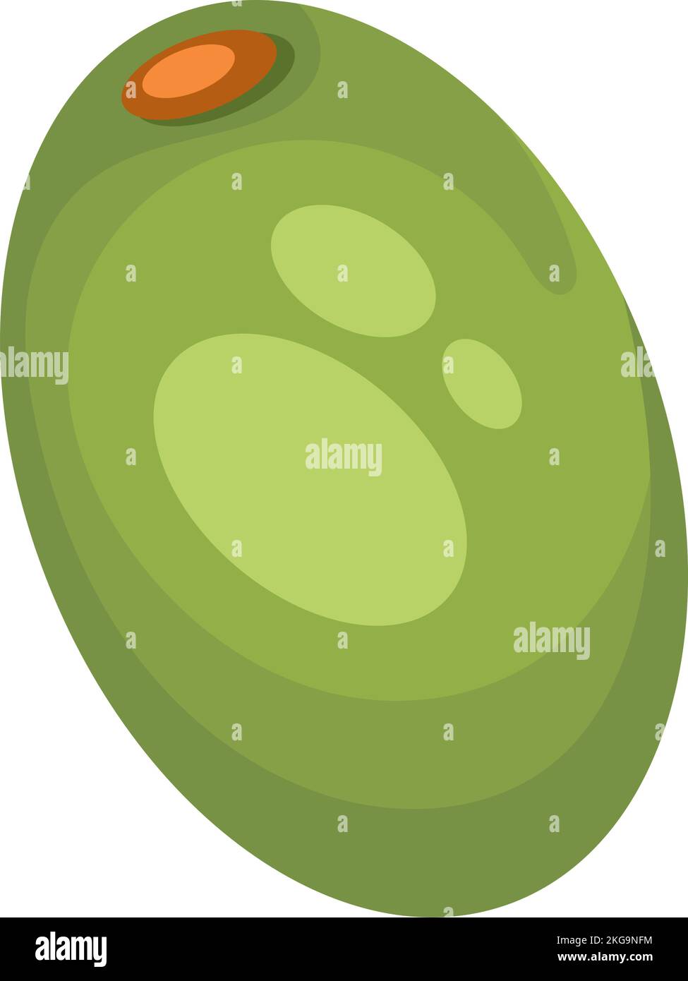Olive vegetable seed in Stock Vector Images - Alamy