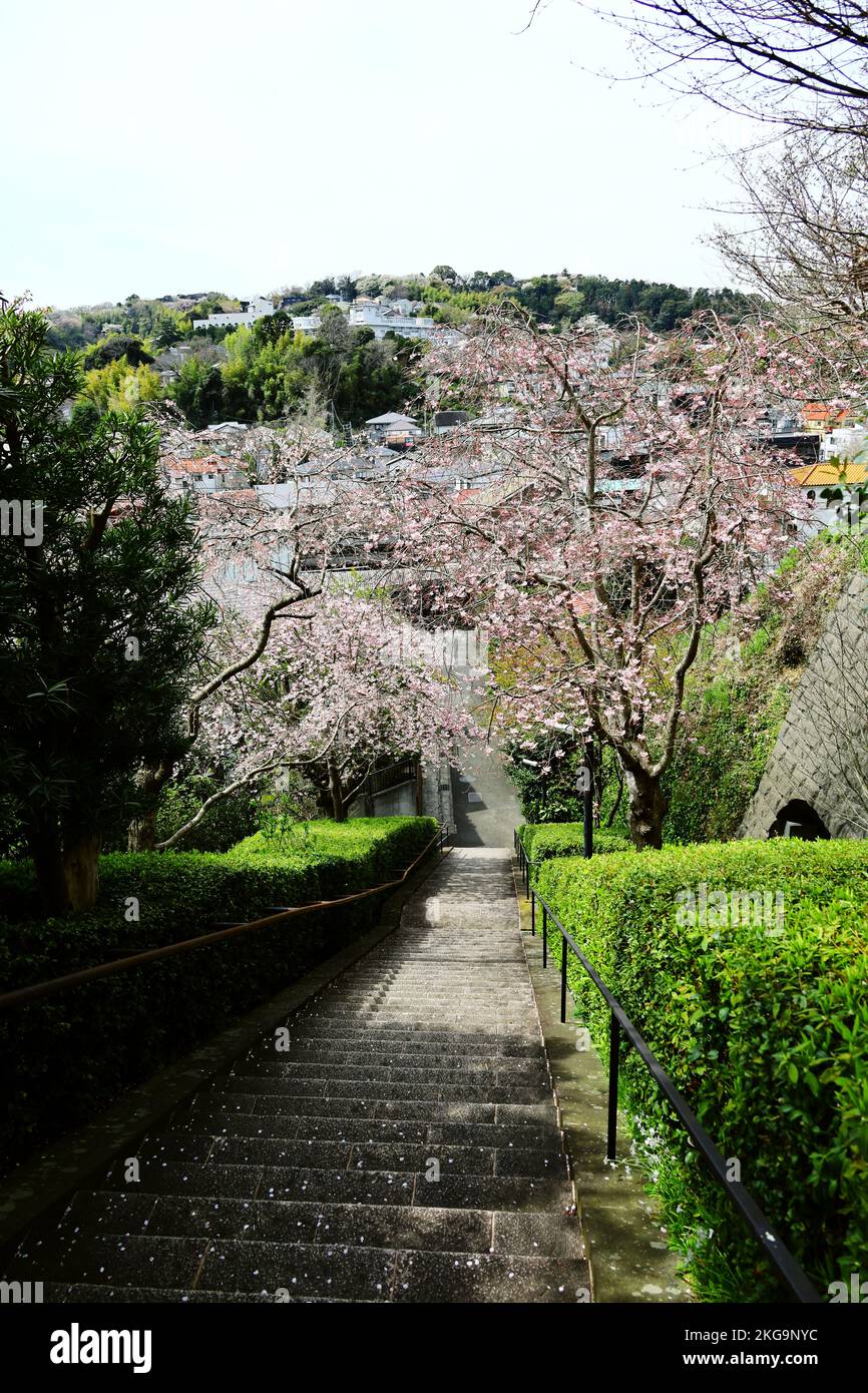 Stone steps japanese garden hi-res stock photography and images - Alamy