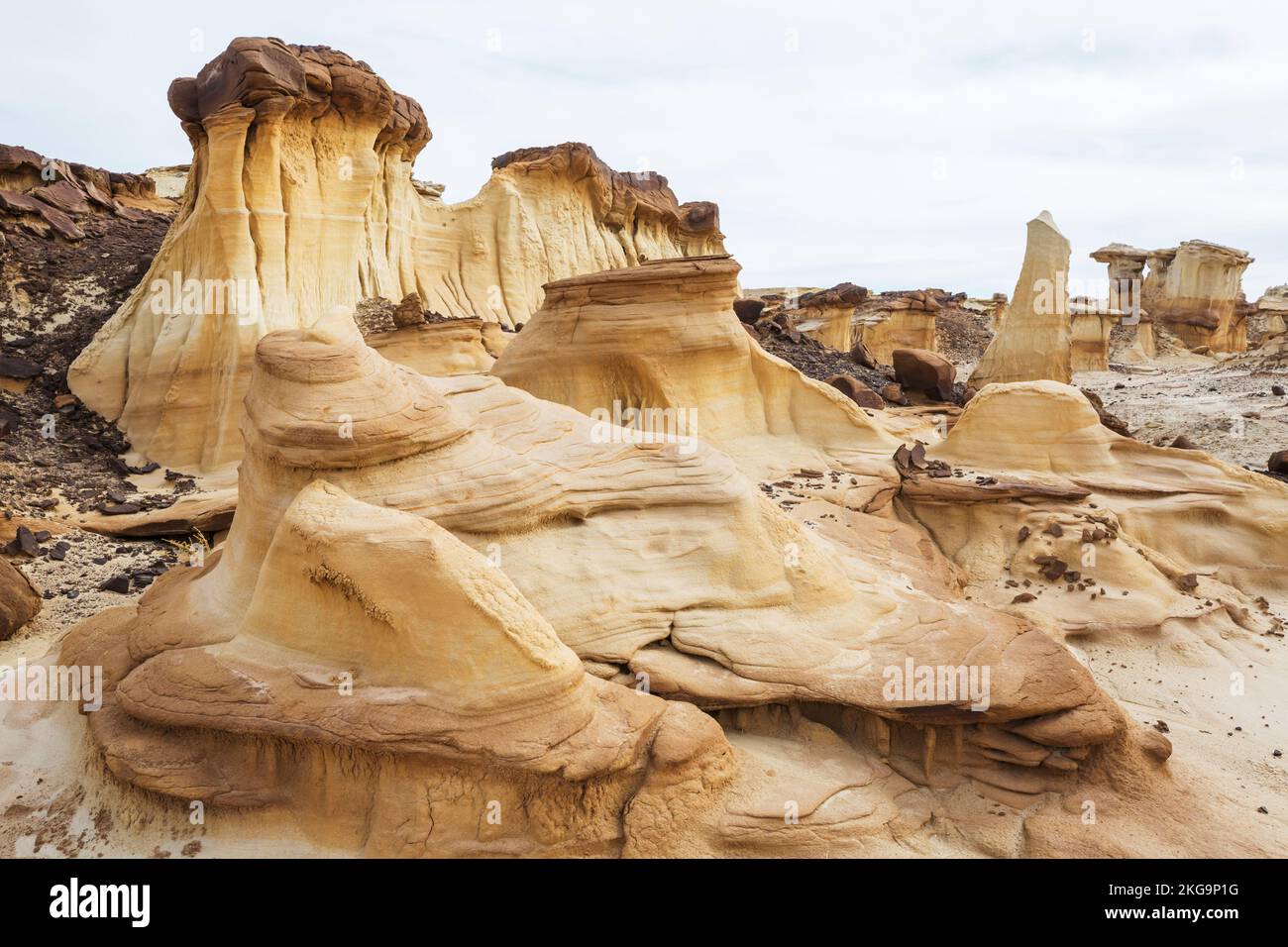 Unusual desert landscapes in Bisti badlands, De-na-zin wilderness area ...