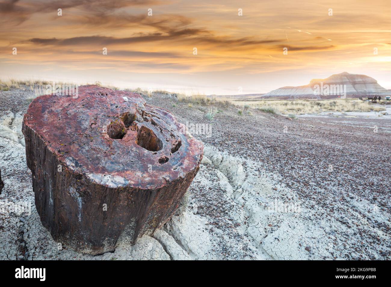 Petrified Forest National Park, Arizona Stock Photo - Alamy