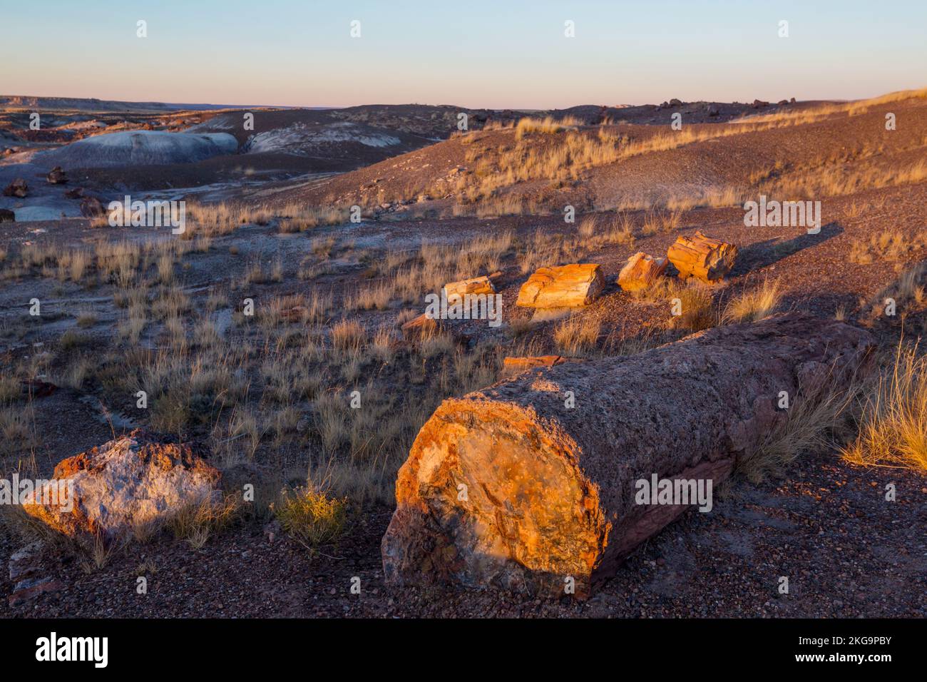 Petrified Forest National Park, Arizona Stock Photo - Alamy