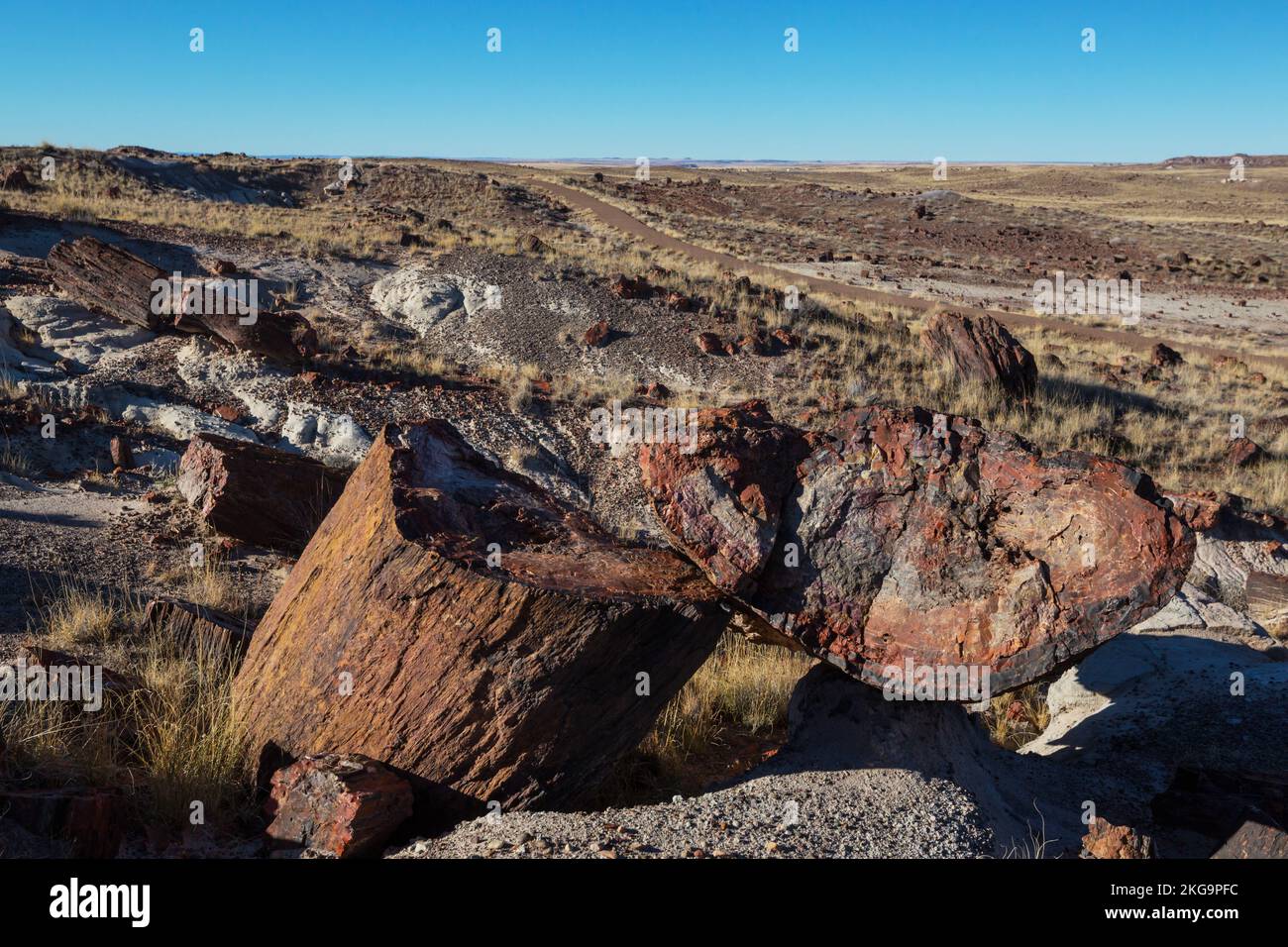 Petrified Forest National Park, Arizona Stock Photo - Alamy