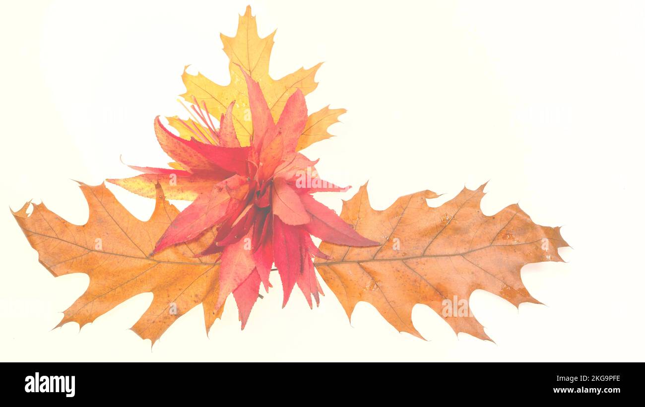 Blank red sheets Stock Photo - Alamy