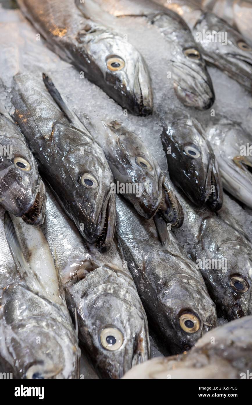 Fresh fish at the Central Market (Mercado Central) in Santiago de Chile ...