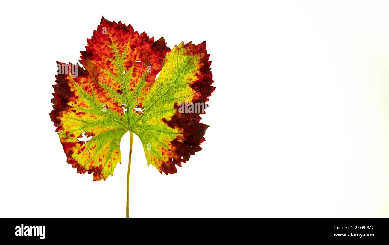 Blank red sheets Stock Photo - Alamy