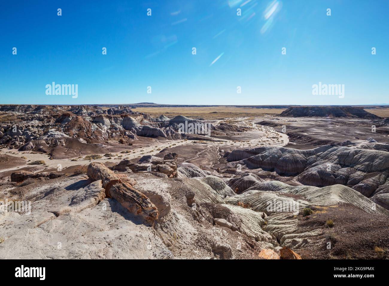 Petrified Forest National Park, Arizona Stock Photo - Alamy