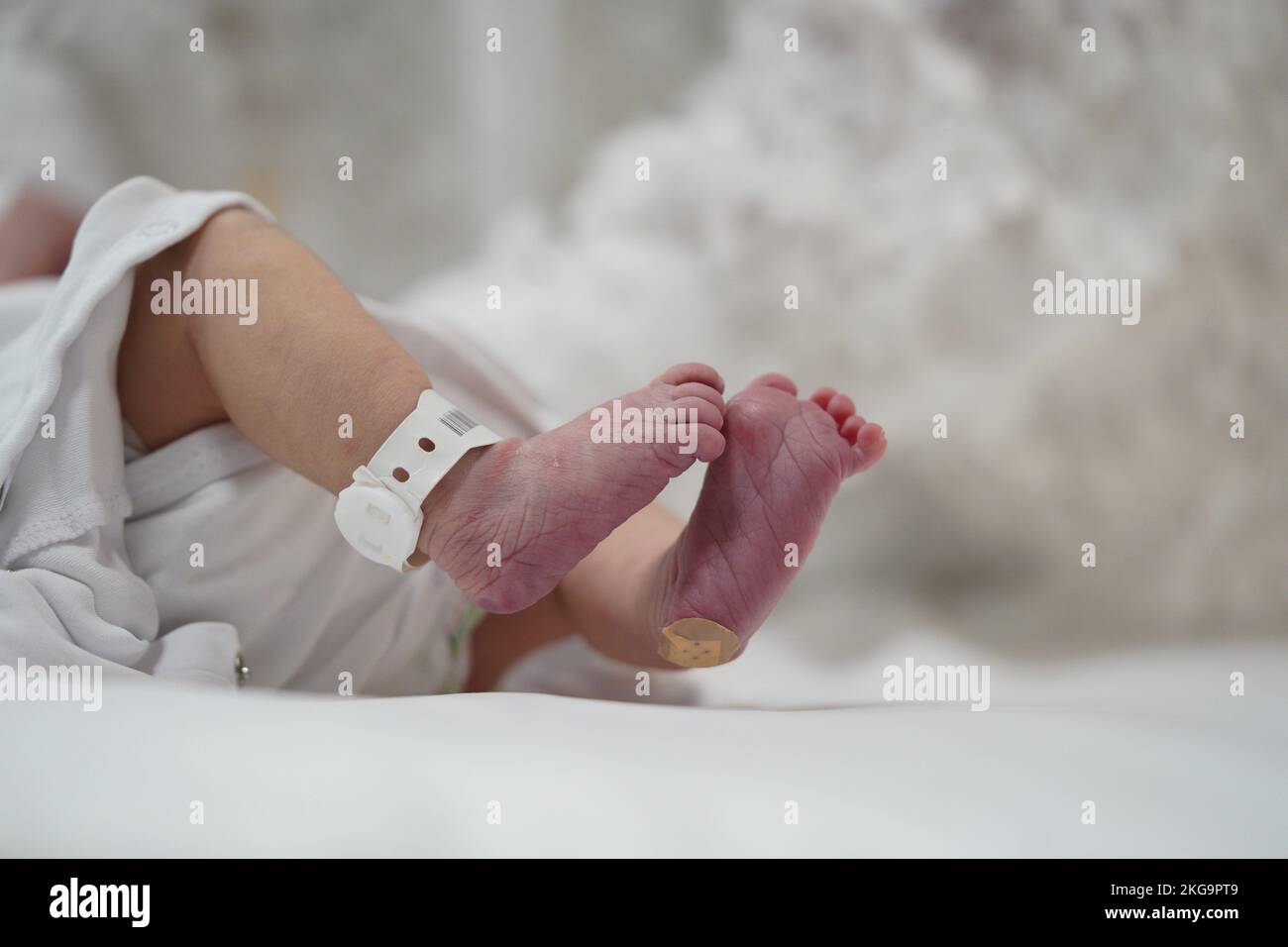Newborn baby foot with identification bracelet in the hospital Stock ...