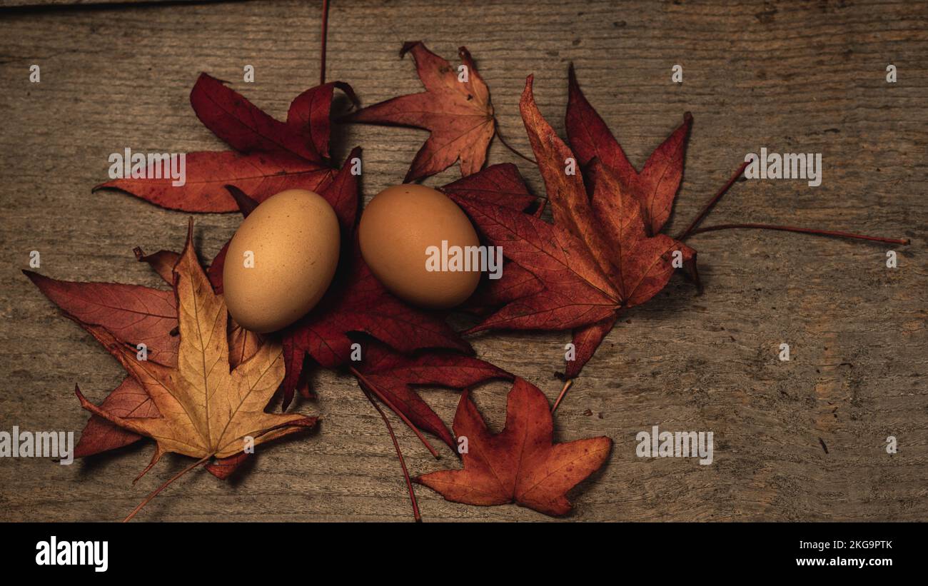eggs and leaves Stock Photo - Alamy