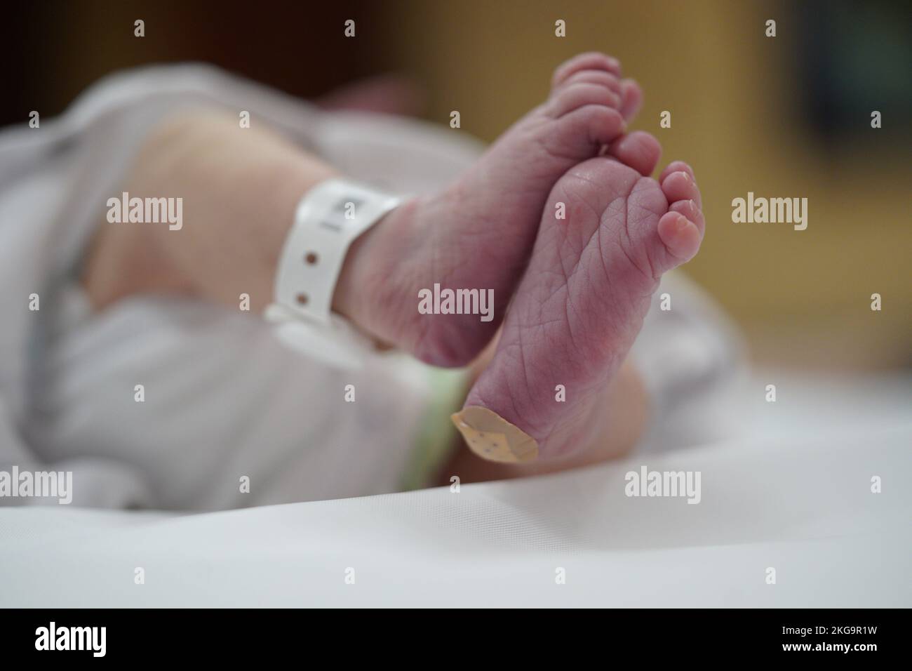 Newborn baby foot with identification bracelet in the hospital Stock ...