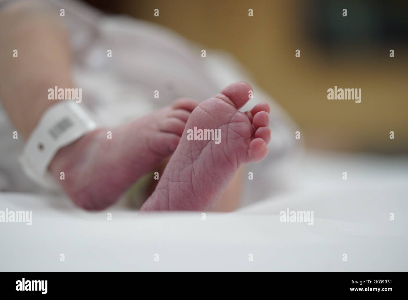 Newborn baby foot with identification bracelet in the hospital Stock ...