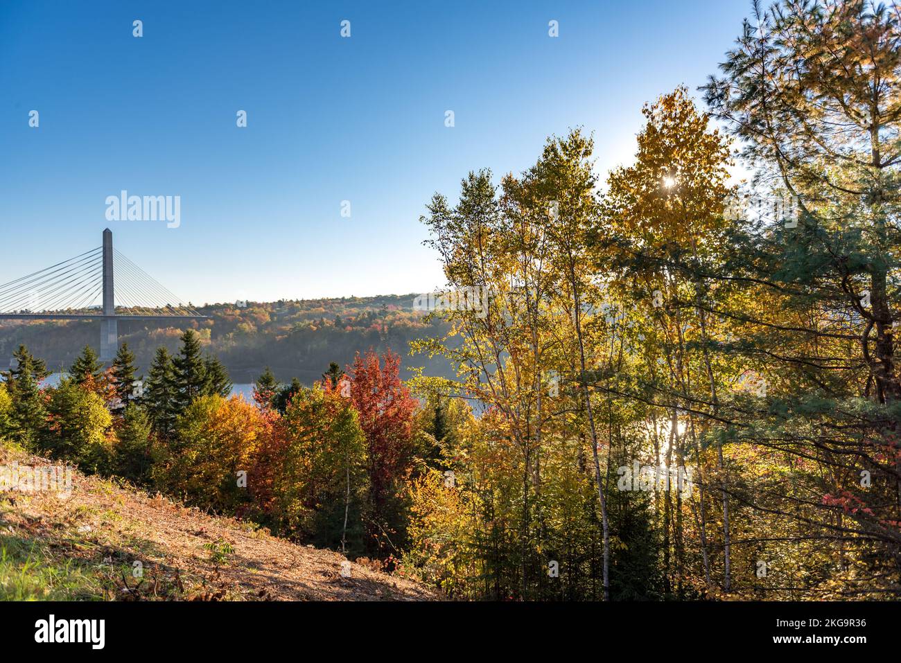 A scenic shot of autumn trees in the Acadia national park in New ...