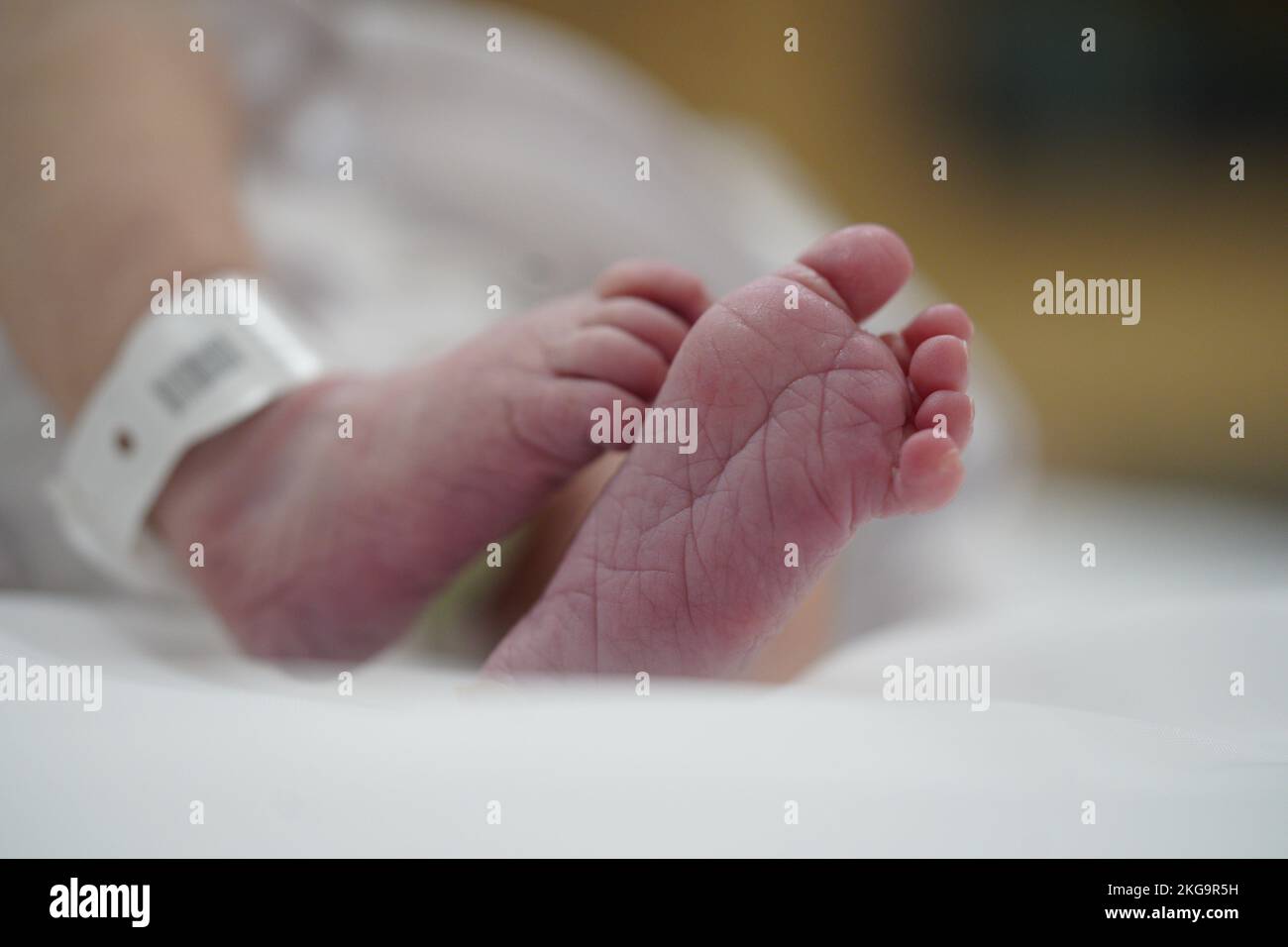 Newborn baby foot with identification bracelet in the hospital Stock ...