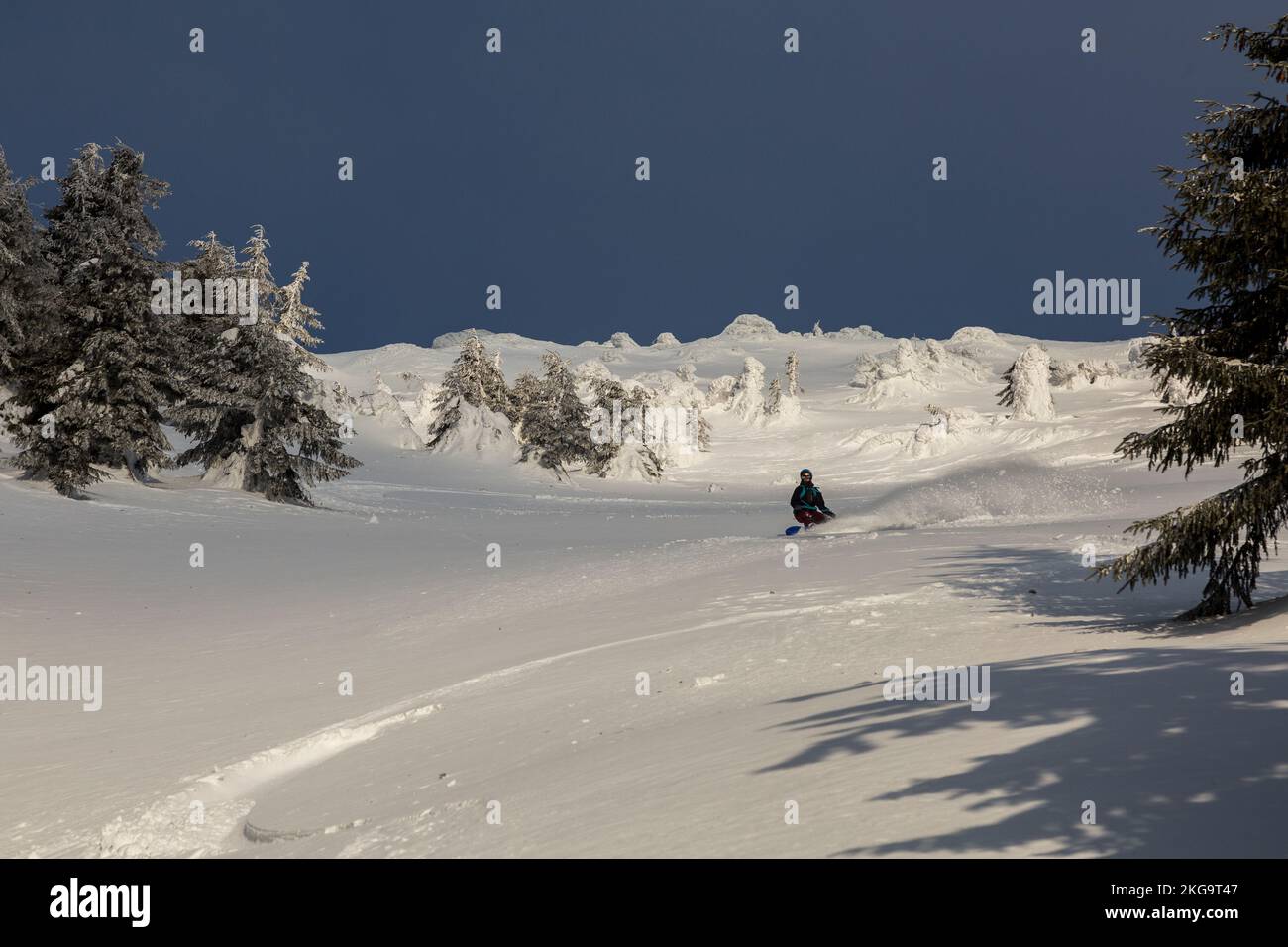 A female rider on a snowboard freeriding on a snowy slope in a ...