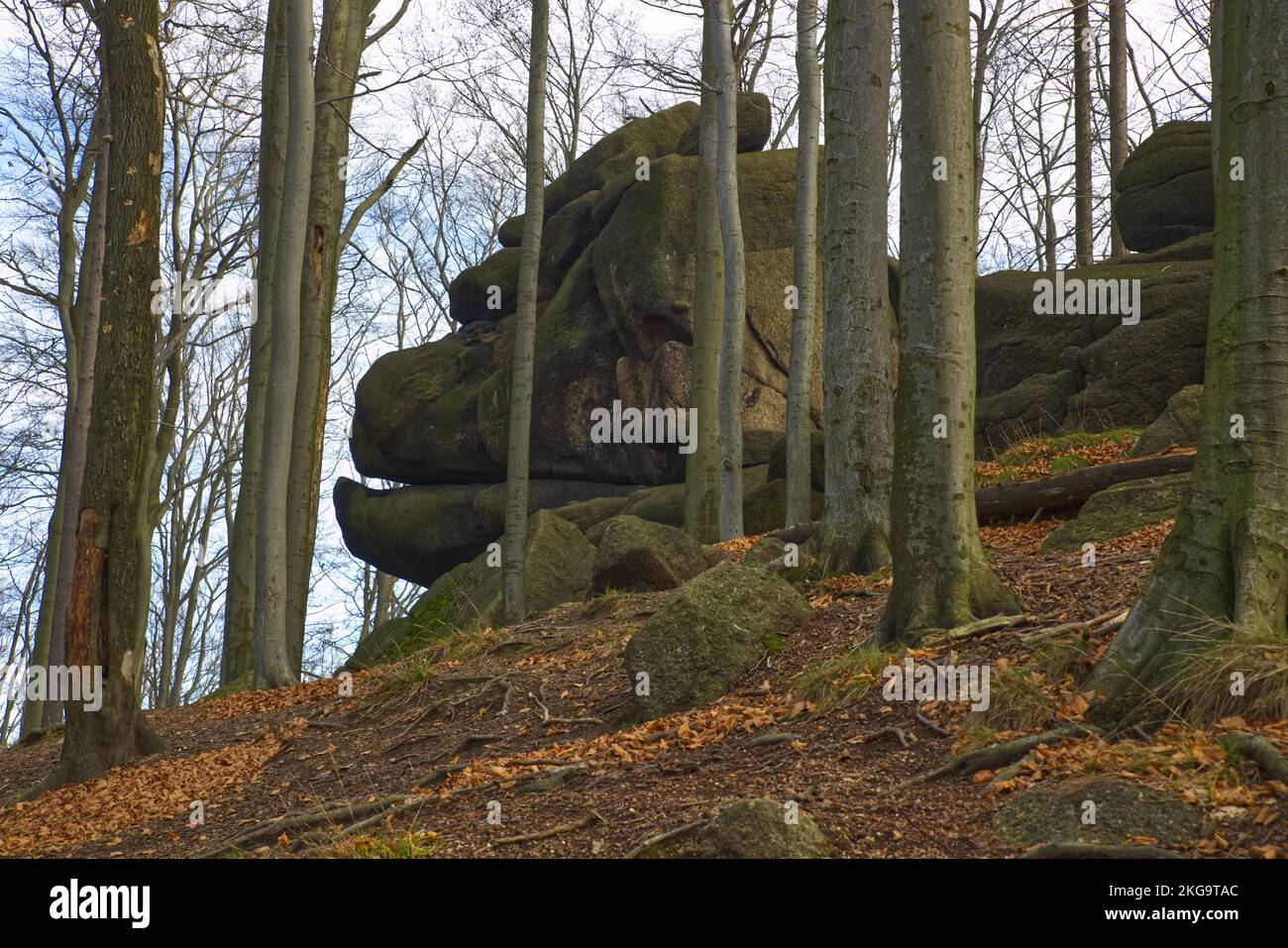 A rock shaped like a gorilla’s head in Jizera Mountains in Czech ...