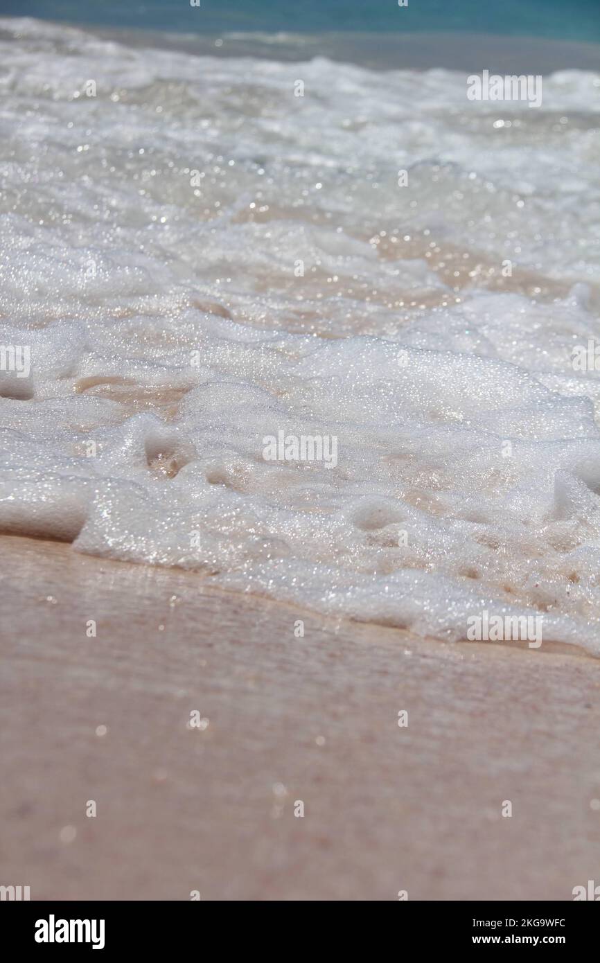 A close-up shot of foamy waves coming to the sandy shore Stock Photo ...
