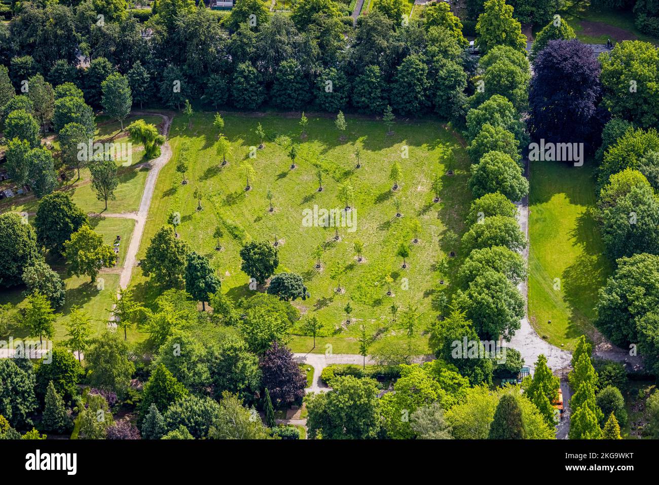 Meadow with young trees in osthofen cemetery hi-res stock photography ...
