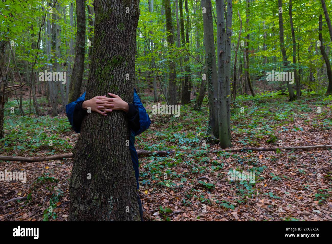 Woman giving a hug to the tree. World Environment Day concept photo ...