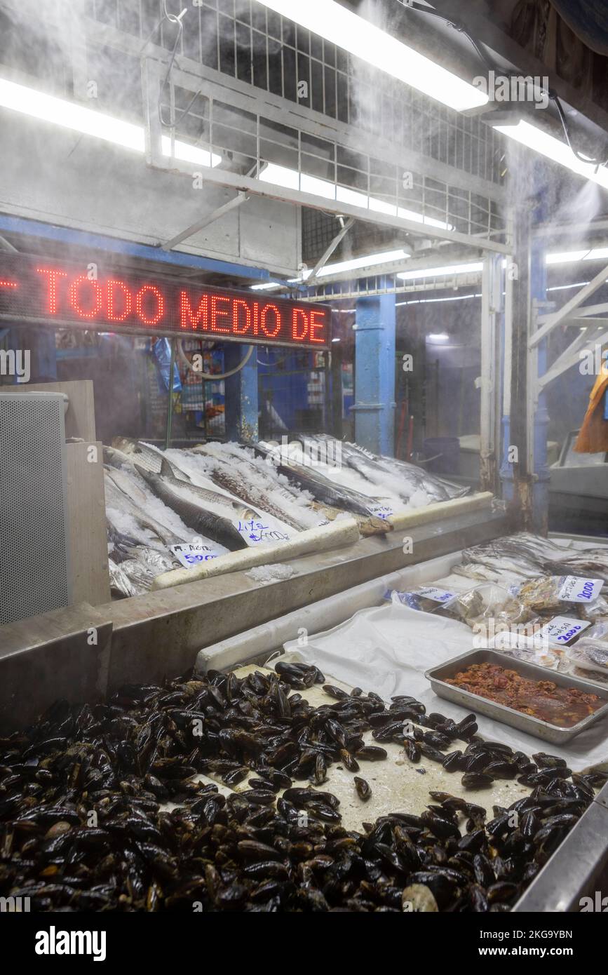 Seafood stand at the Central Market (Mercado Central) in Santiago de ...
