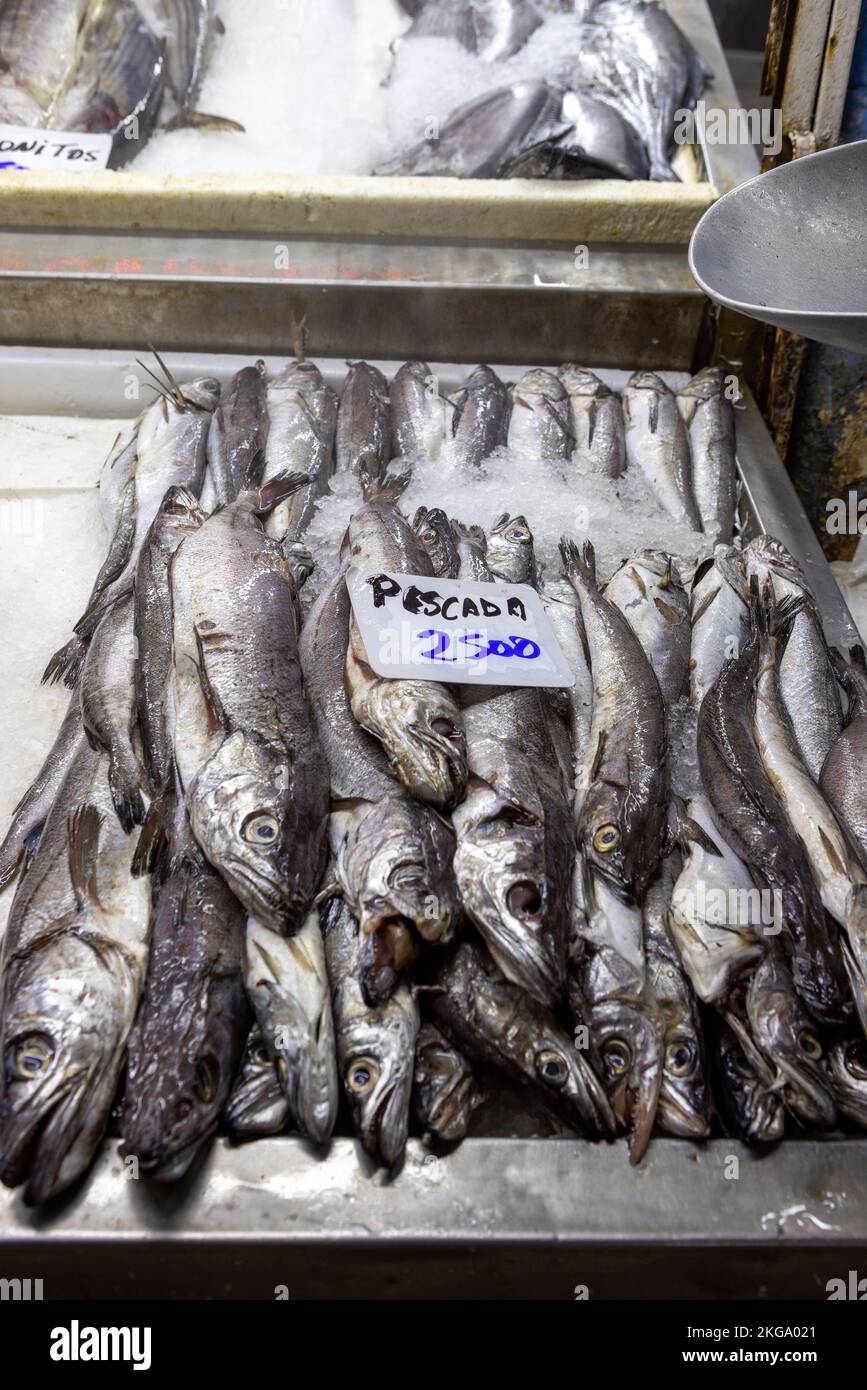 Fresh fish at the Central Market (Mercado Central) in Santiago de Chile ...