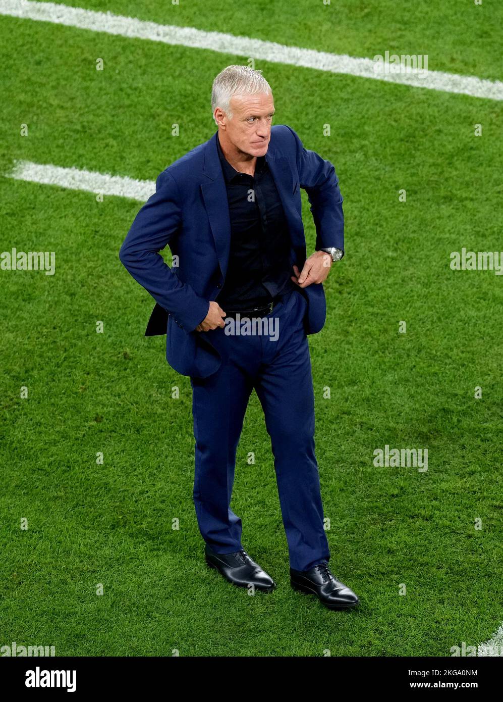 France manager Didier Deschamps during the FIFA World Cup Group D match ...